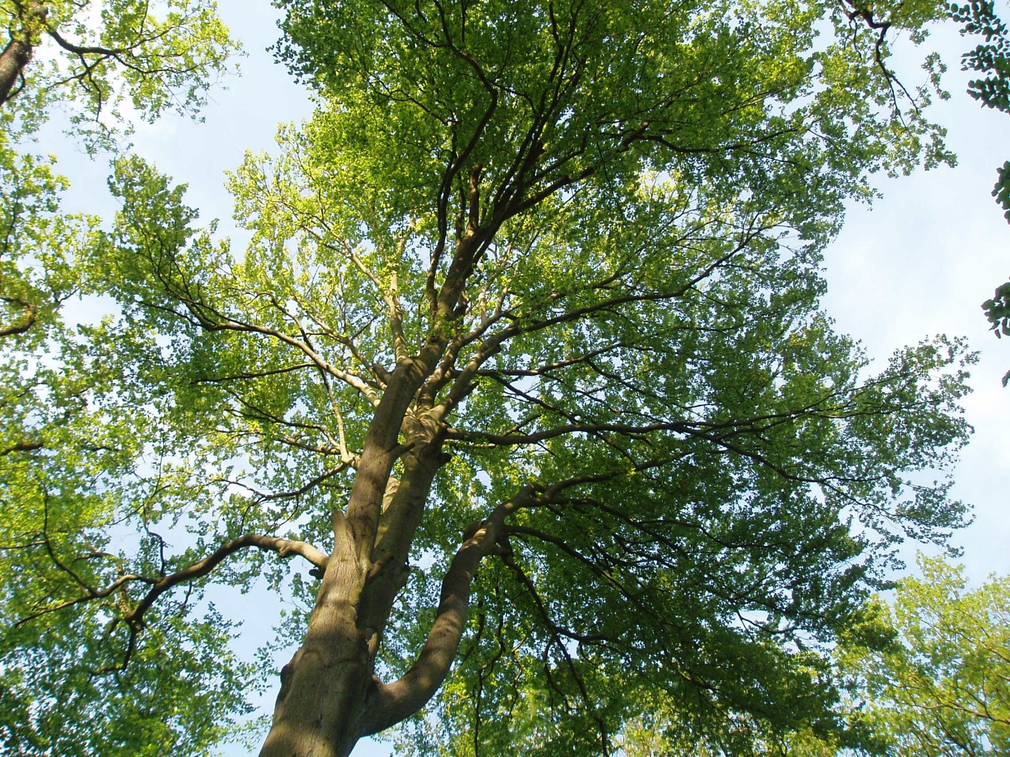 Über uns » TSO Training